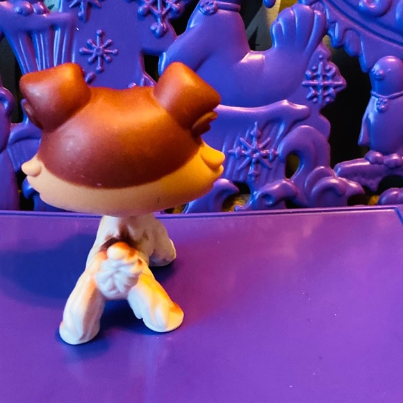 Littlest Pet Shop | Other | Lps Variant Collie 58 Paw Down | Poshmark